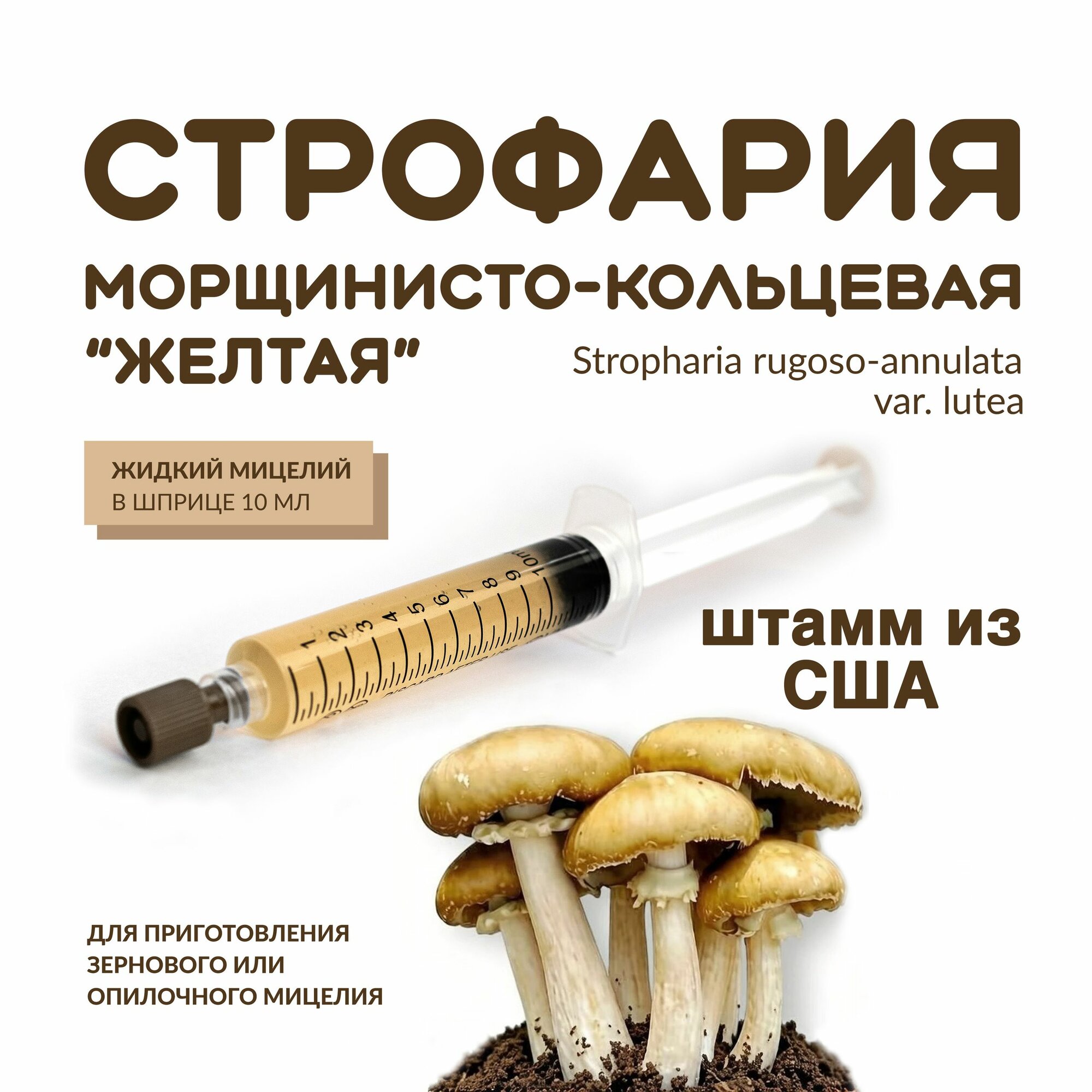 Жидкий мицелий Строфарии морщинисто-кольцевой (желтой)