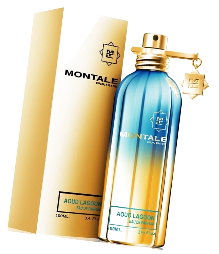 Для женщин и мужчин Монталь Уд Лагун 100 мл - Montale Aoud Lagoon парфюм