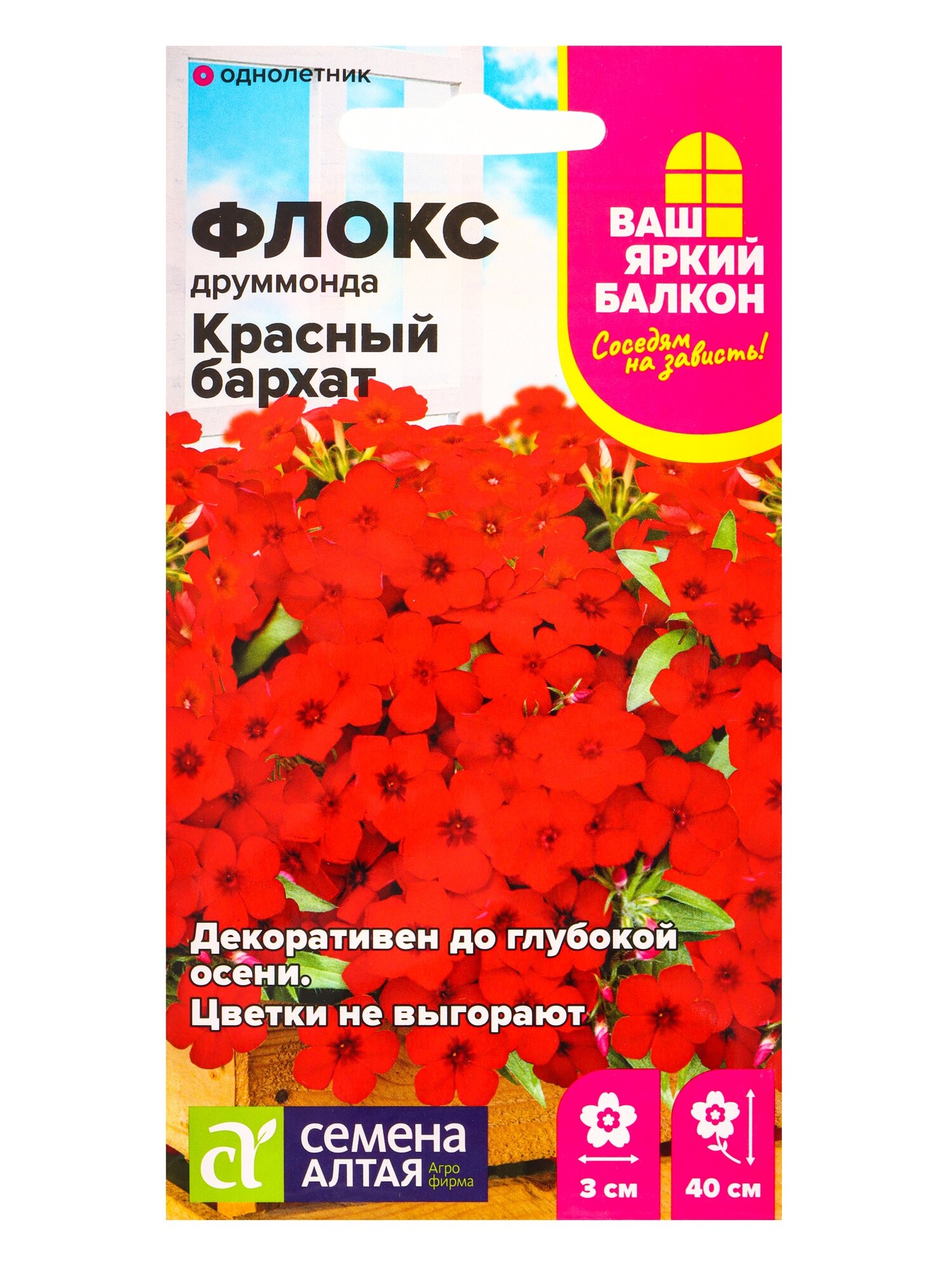 Семена цветов Флокс Друммонда «Красный Бархат», 0.05 г, «Семена Алтая»