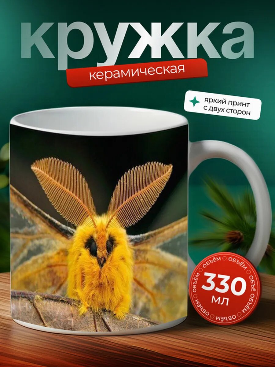 Кружка Моль насекомое 16,