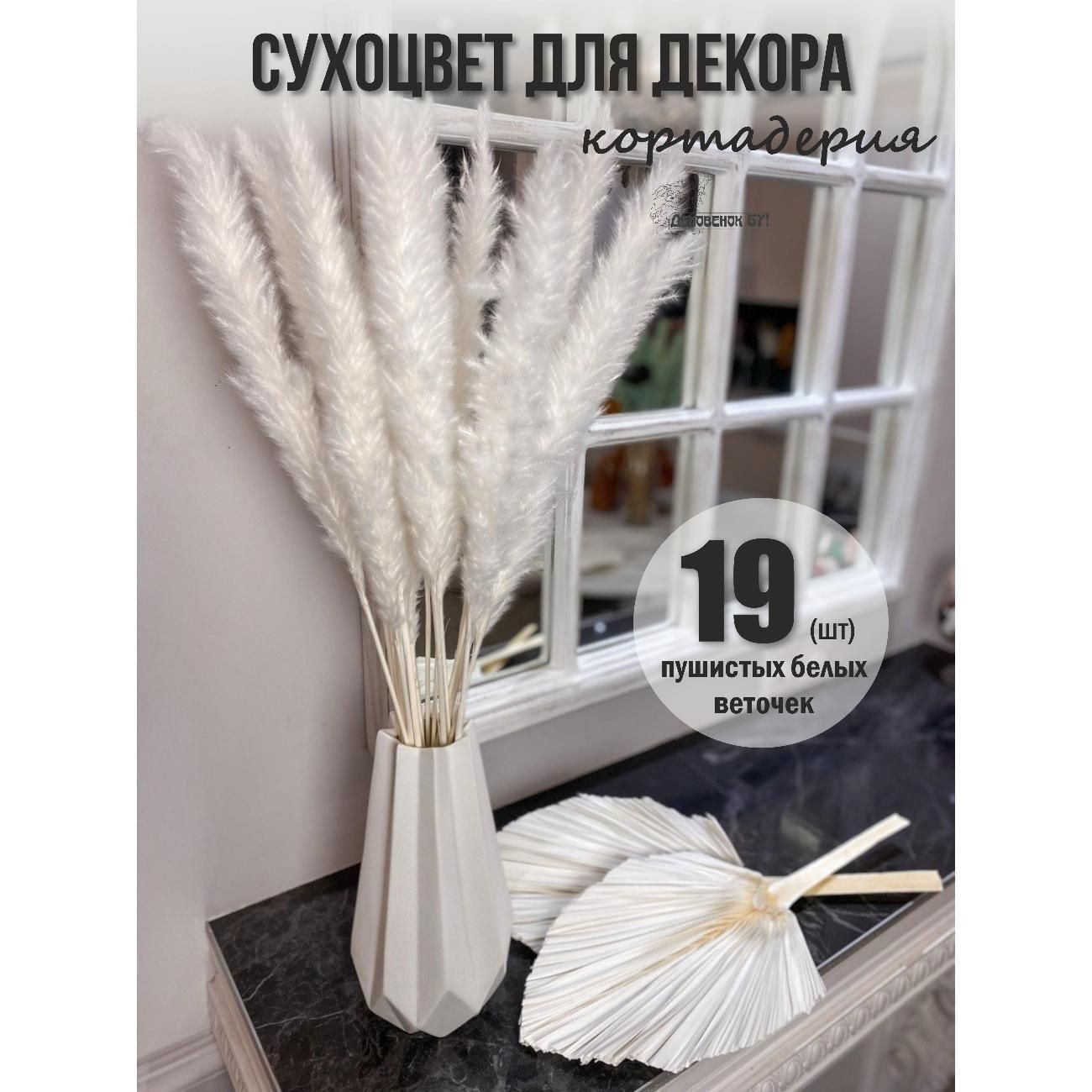 Сухоцвет Домовенок БУ Сухоцвет для декора Белая кортадерия 19 шт.