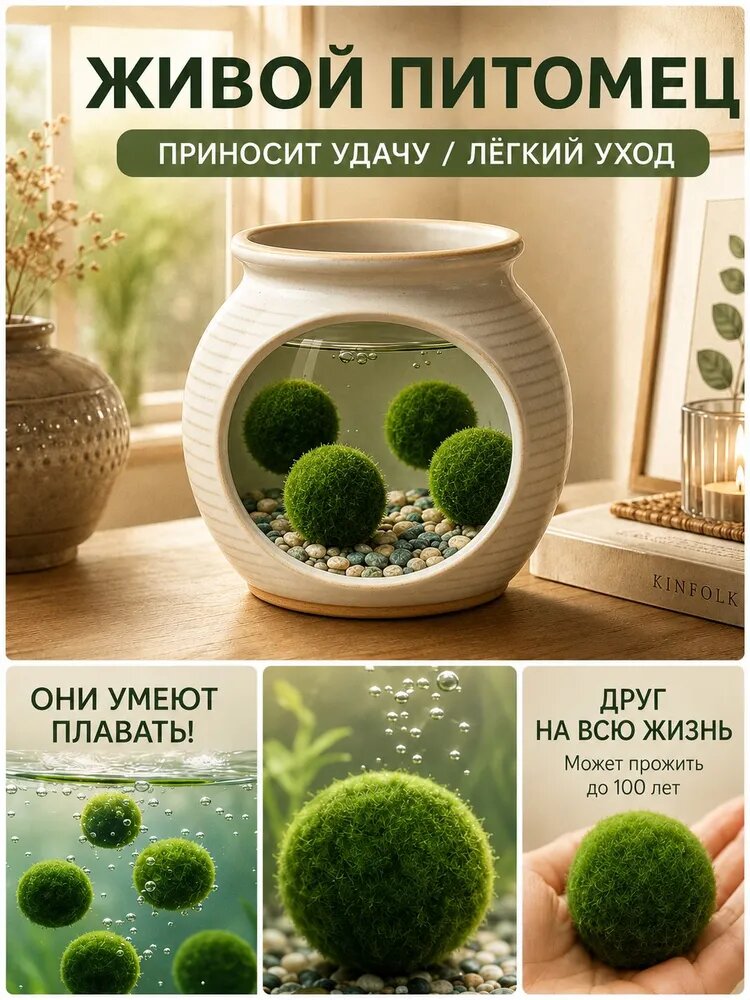 Маримо, живые шарики водорослей для аквариума, набор 4 шт, аквариумное растение символ удачи и любви