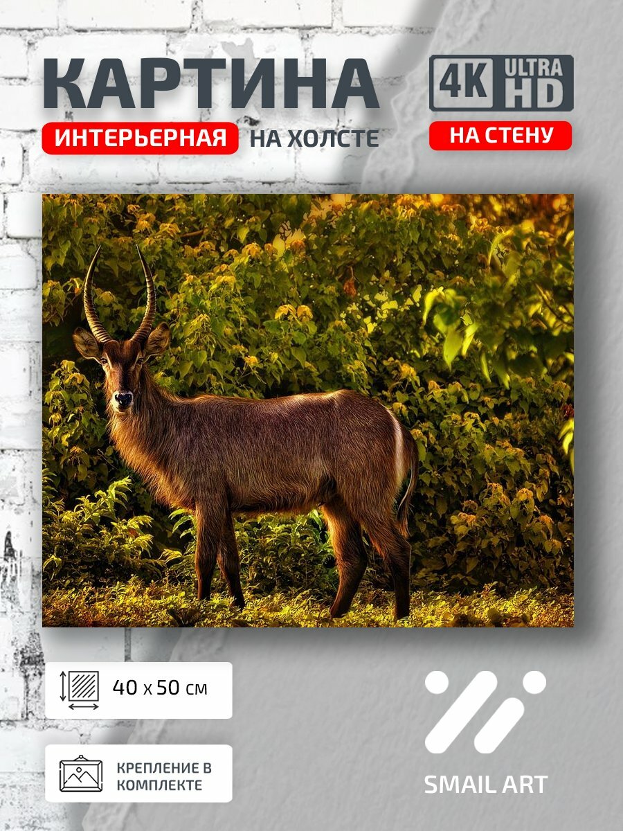 Картина на холсте интерьерная 40 на 50 на стену Пейзаж animals для спальни пейзаж интерьер