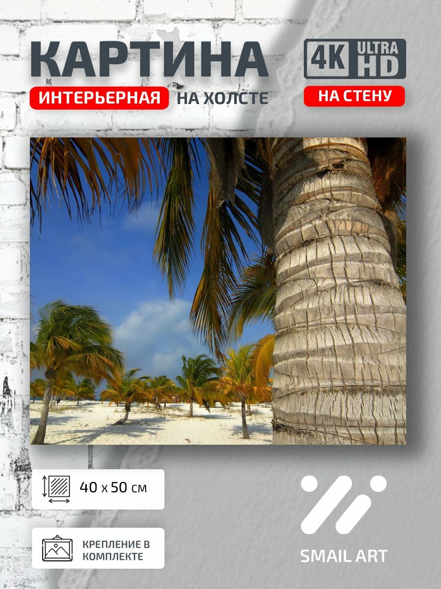 Картина на холсте интерьерная 40 на 50 на стену Пальм Landscape для спальни пейзаж интерьер