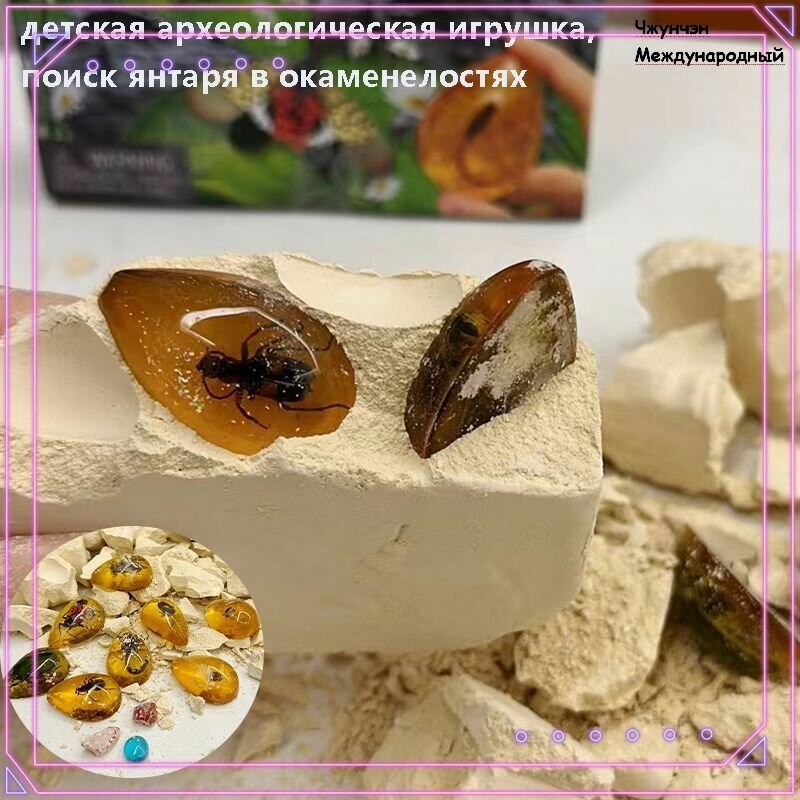 Эксклюзивный детский набор для археологических раскопок, имитирующий процесс добычи насекомых в окаменелом янтаре