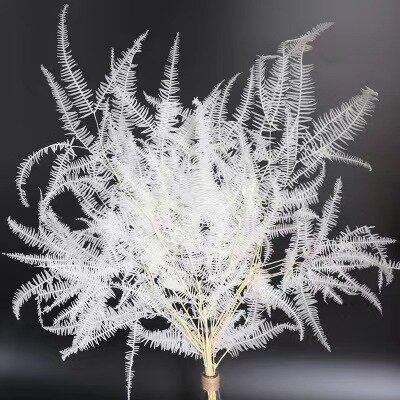 Вечные листья папоротника, материалы для DIY, вечные цветы, домашний декор, аксессуары для цветочных композиций, реквизит для фотографии