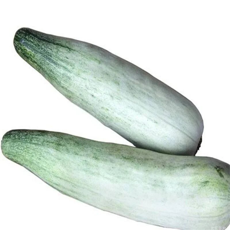 Семена овощной клубники See-D.008