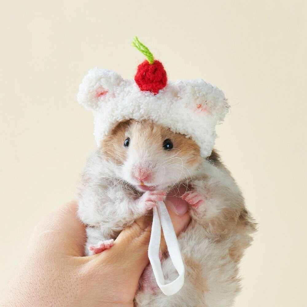 Шерстяная шляпа хомяка