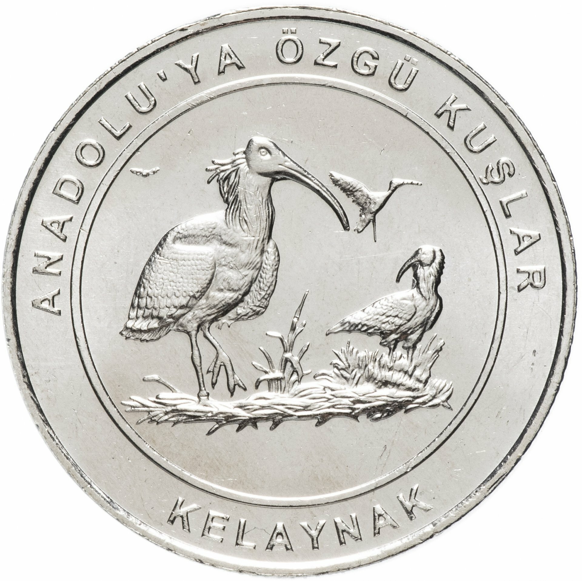 Турция 1 куруш, 2018 "Лесной ибис" Серия "Птицы Анатолии", Медь, в сохранности UNC