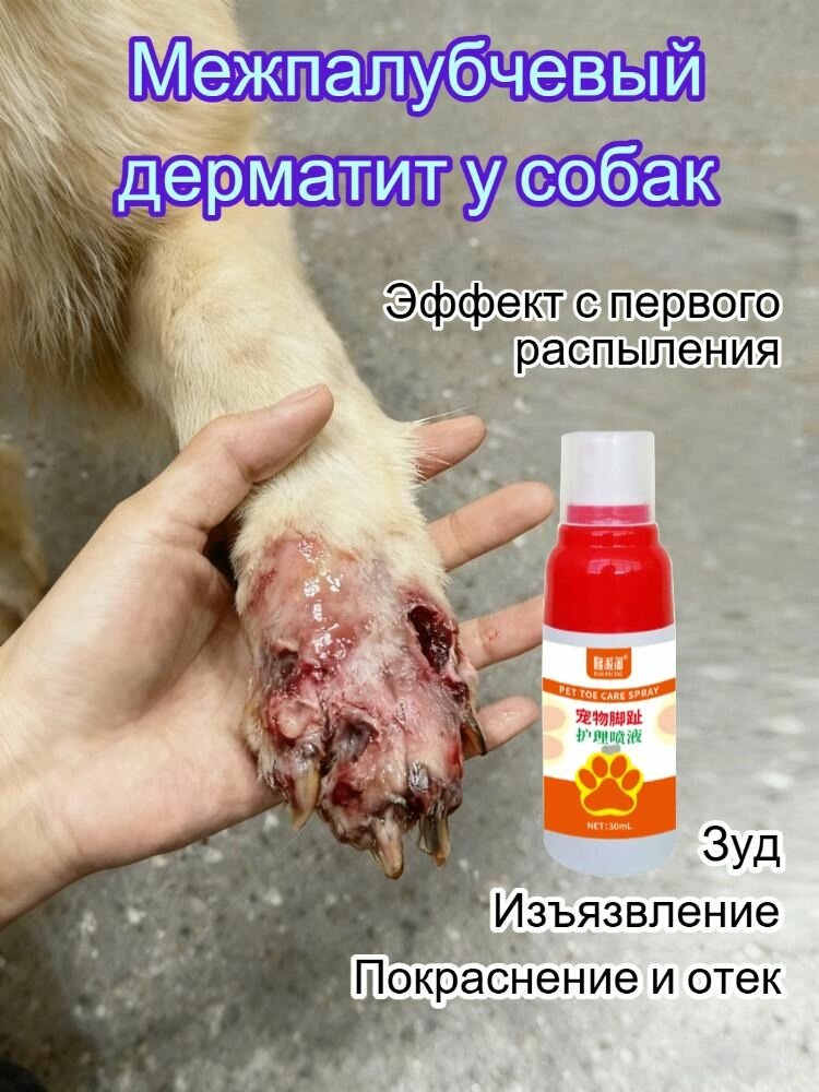 Спрей для лап собак и кошек антибактериальный 100 мл