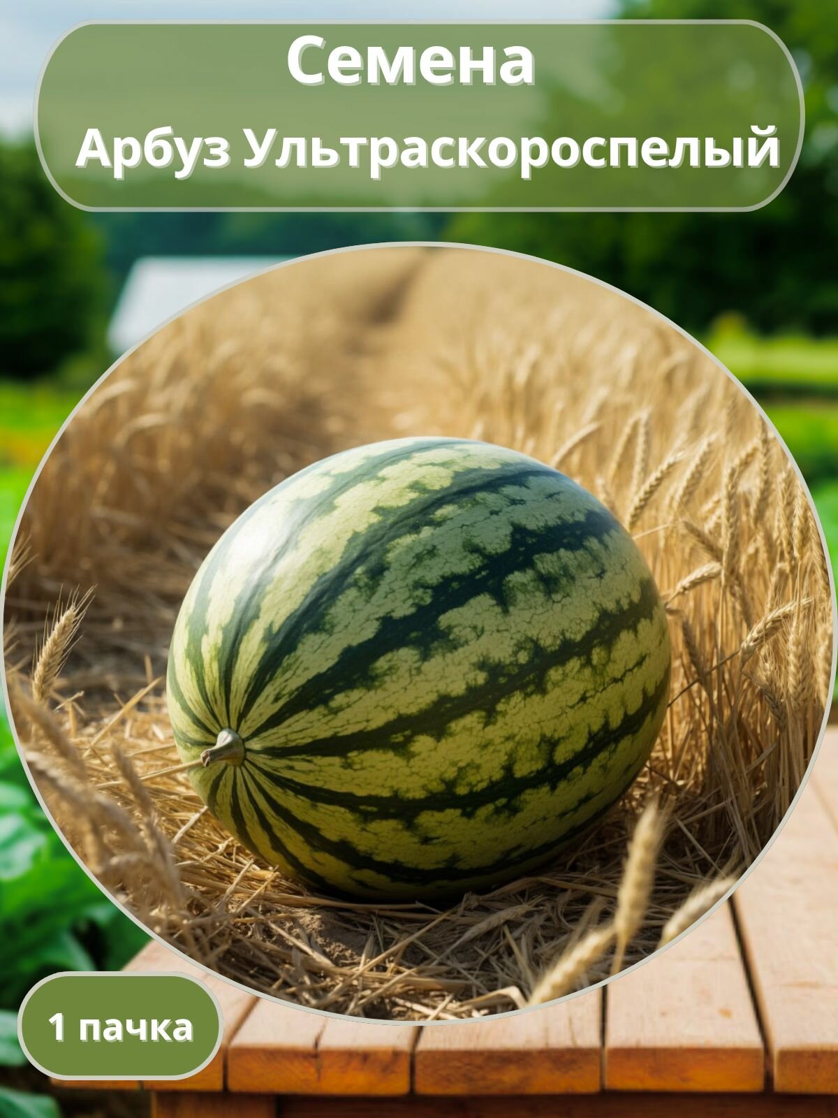 Арбуз Ультраскороспелый, семена 10 шт