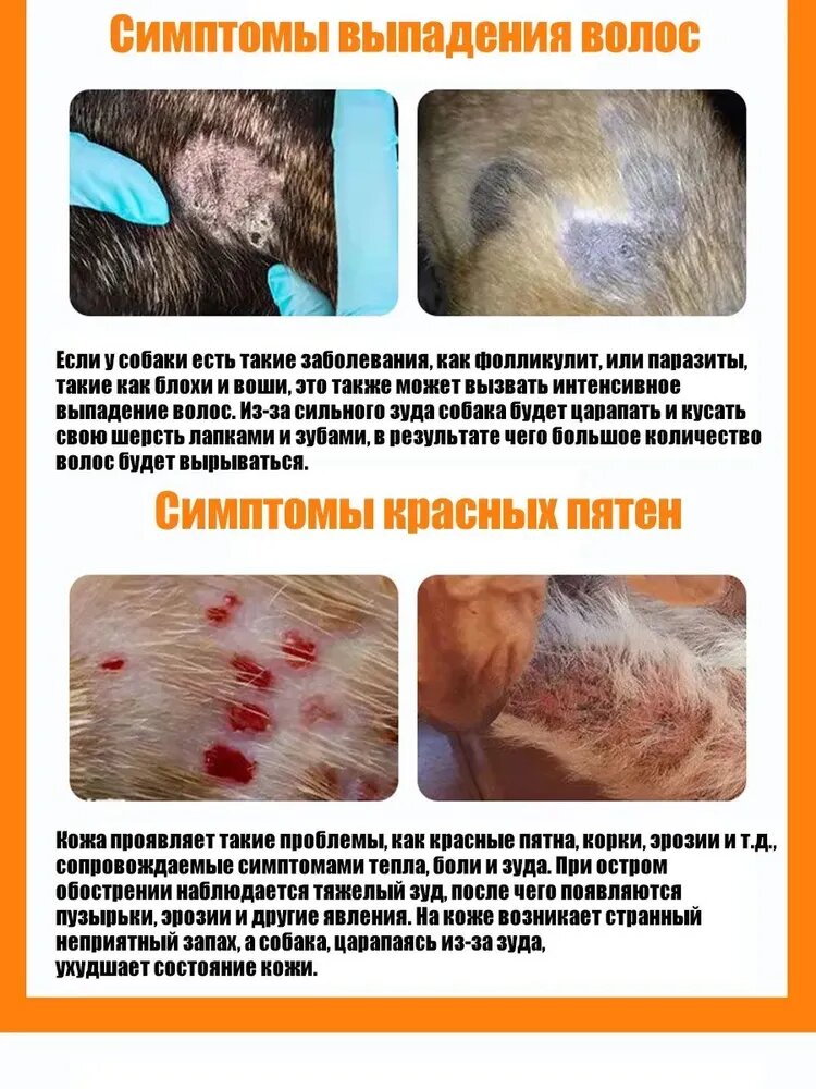 Спрей от пухопероеда, блох и клещей для кур, индюков, перепелов. Средство для обработки птицы и курятника, 100 мл