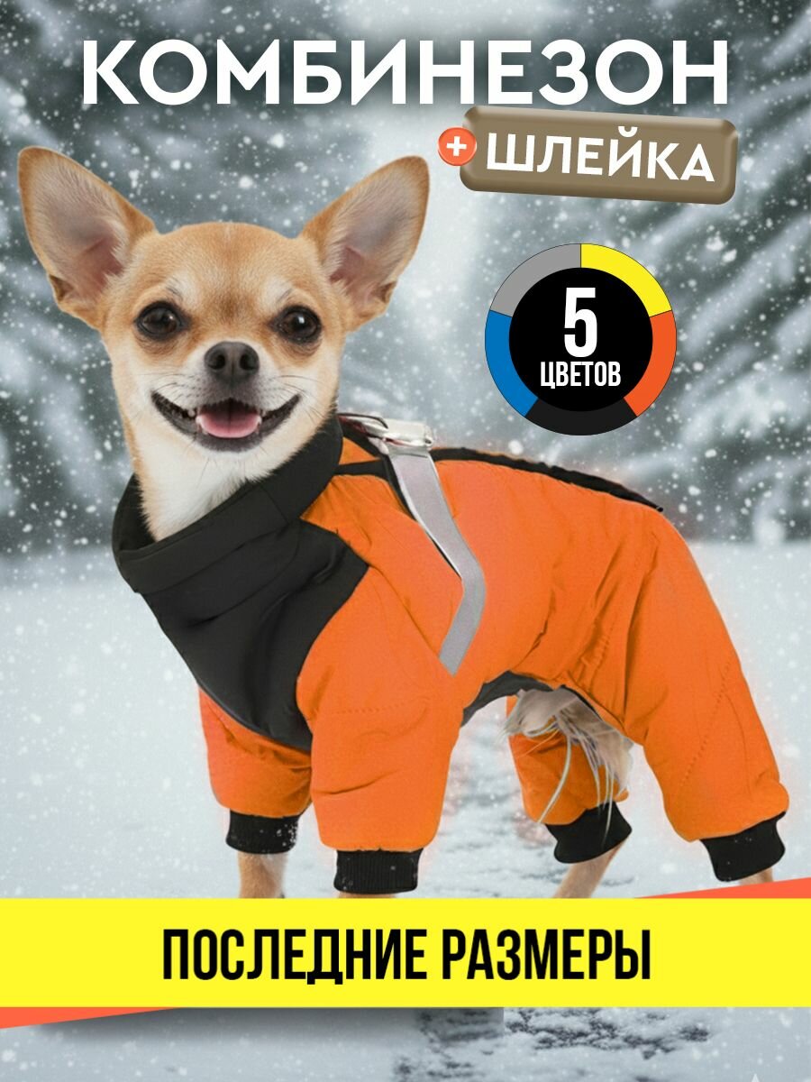 Зимний комбинезон для собак мелких пород MiloPets, M