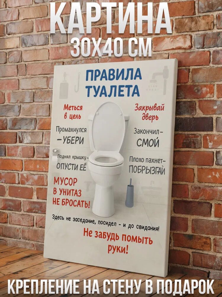 Картина "Правила туалета для дома, офиса" 30x40 см
