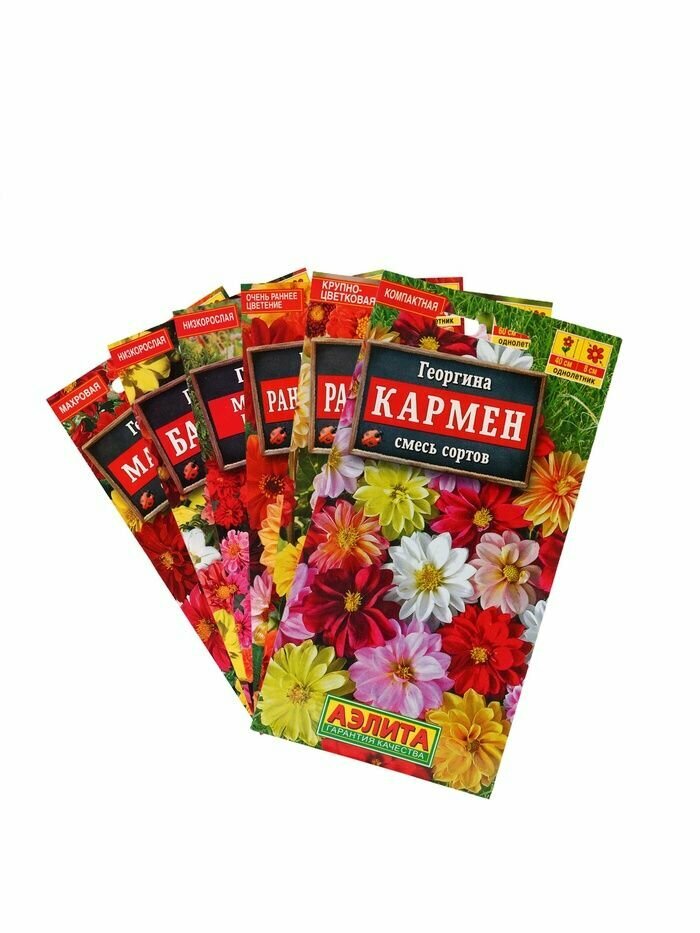 Набор семян цветов Георгина, махровая, низкорослая