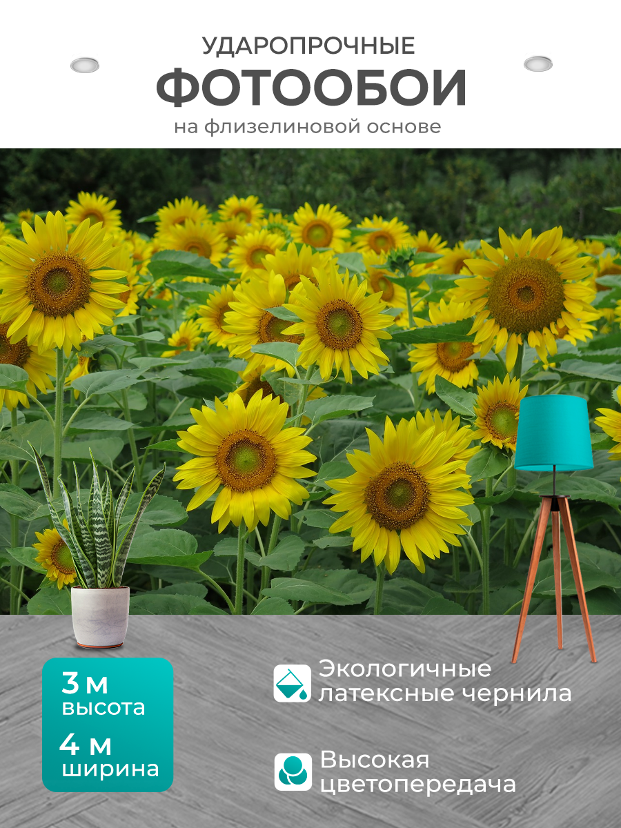 Фотообои моющиеся ударопрочные "Подсолнухи, цветы, желтый" 400x300 см. флизелиновые на стену