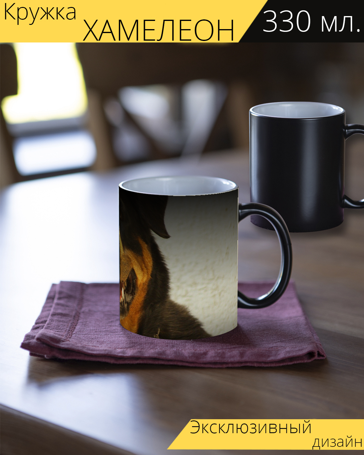 Кружка хамелеон с принтом "Ротвейлер, собака" 330 мл.