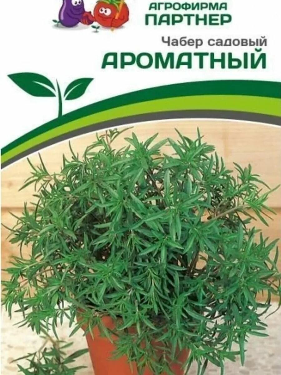 Чабер Ароматный садовый 0,5 г. Семена Партнер
