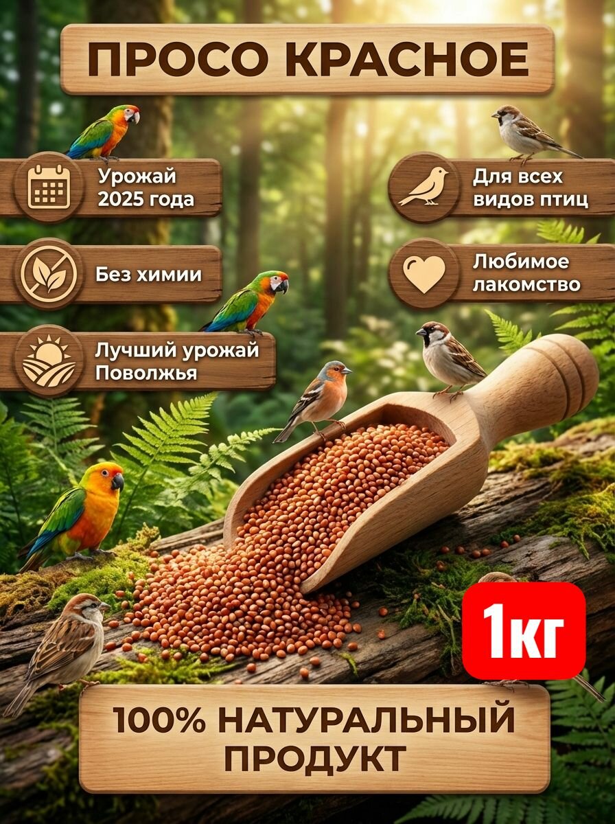 Просо красное , корм для попугаев и других птиц