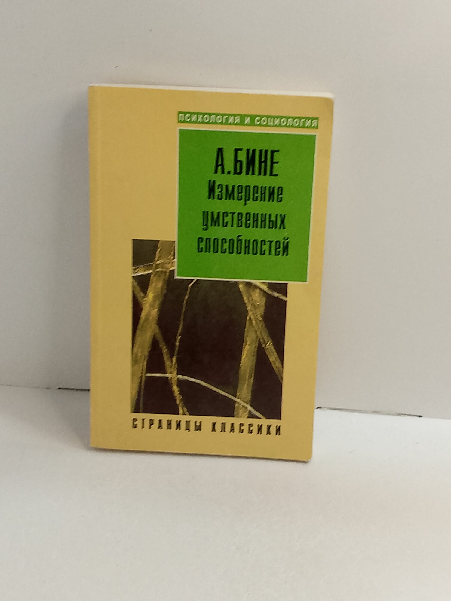 Измерение умственных способностей