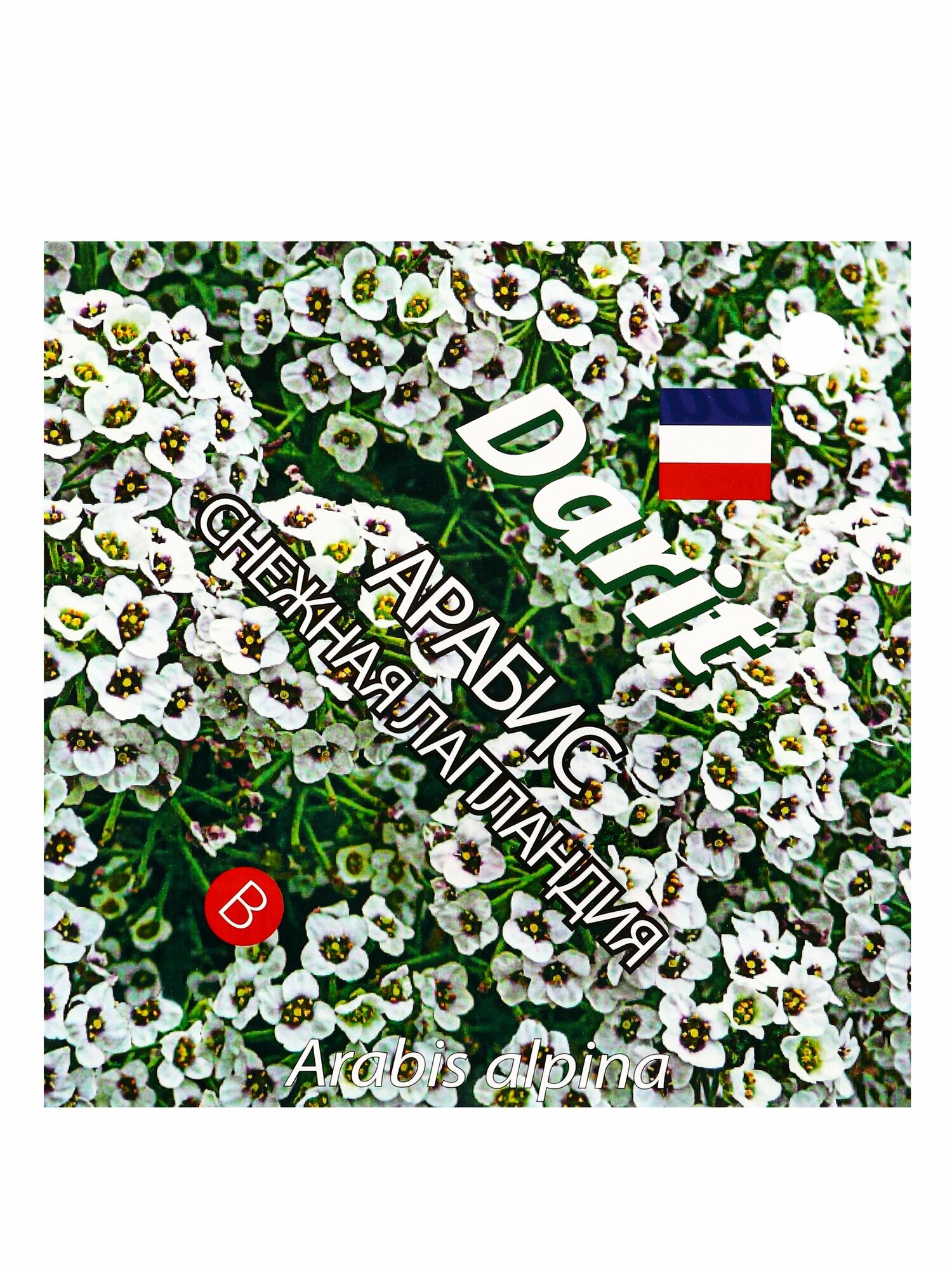 Семена цветов Арабис "Снежная Лапландия", 0,2 г