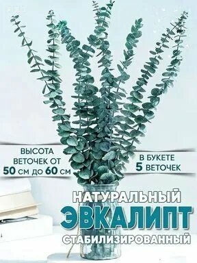 Сухоцветы, 55 см, 150 гр