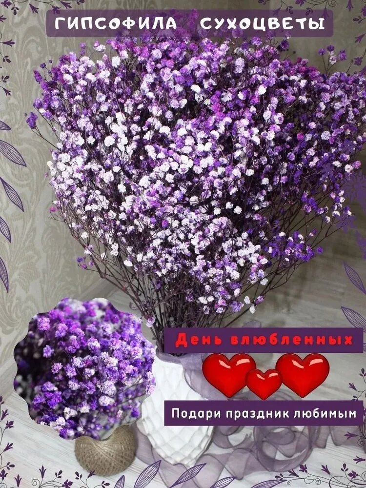 Сухоцветы Гипсофила, 50 см, 50 гр. Букет для дома и праздника. Необычный подарок