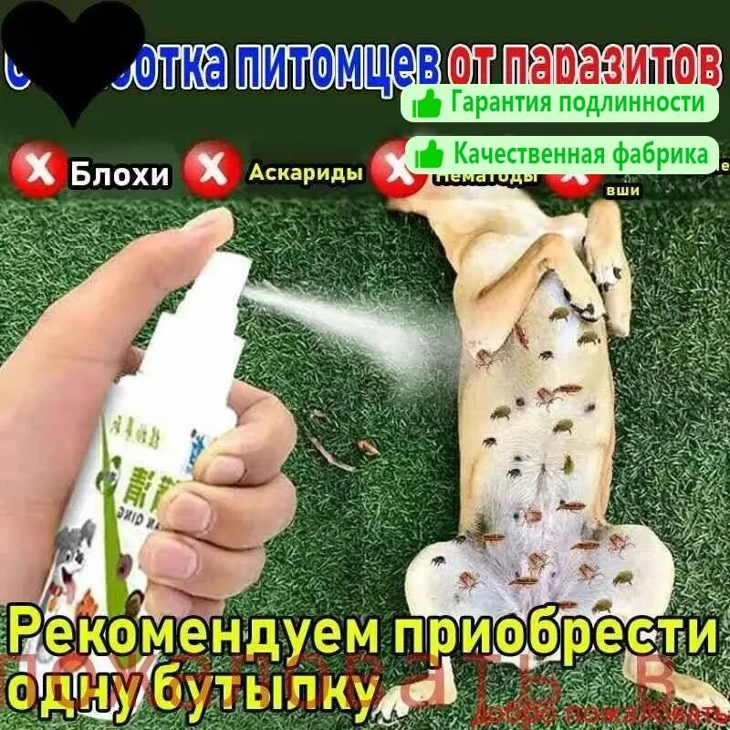 Шампунь для животных