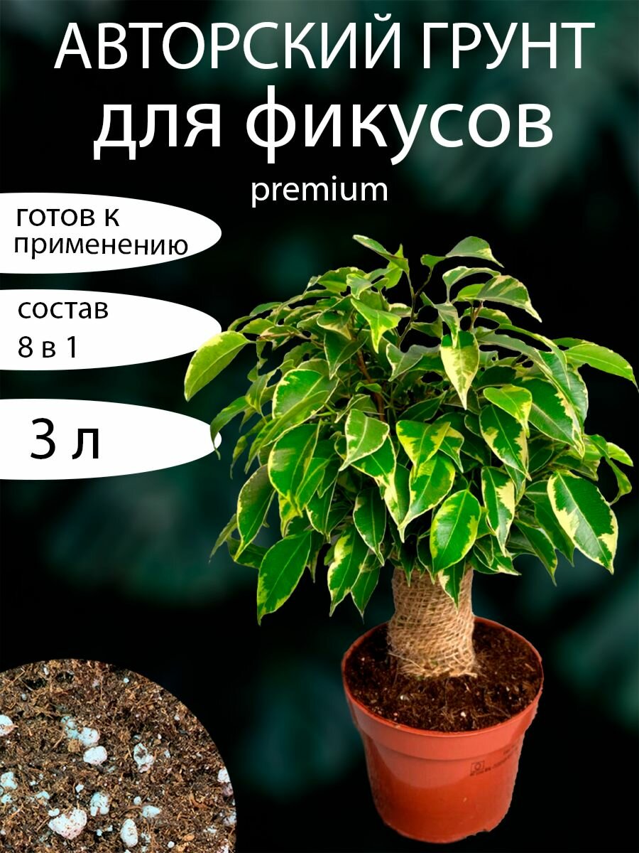 Грунт для Фикуса премиум 3 литра