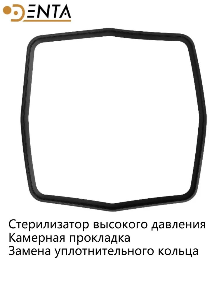 Прокладка камеры и уплотнительное кольцо двери автоклава для Melag Cliniklav 25.