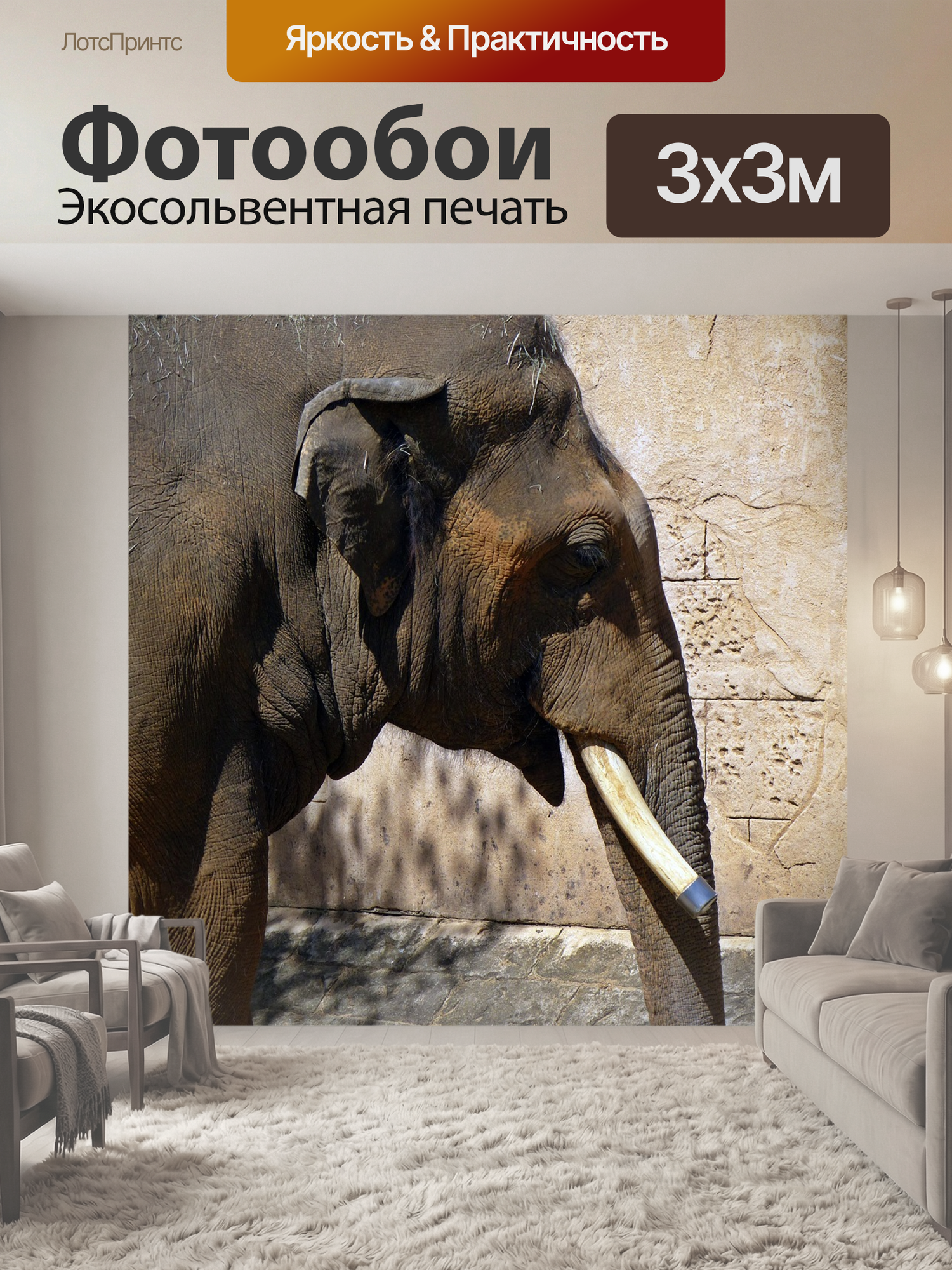 Фотообои "Слон, голова слона, ствол" 300x300 см. экосольвентная печать