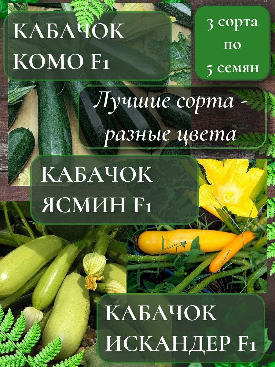 Набор семян кабачков Комо F1(5 шт)+Ясмин F1(5 шт)+Искандер F1(5 шт)