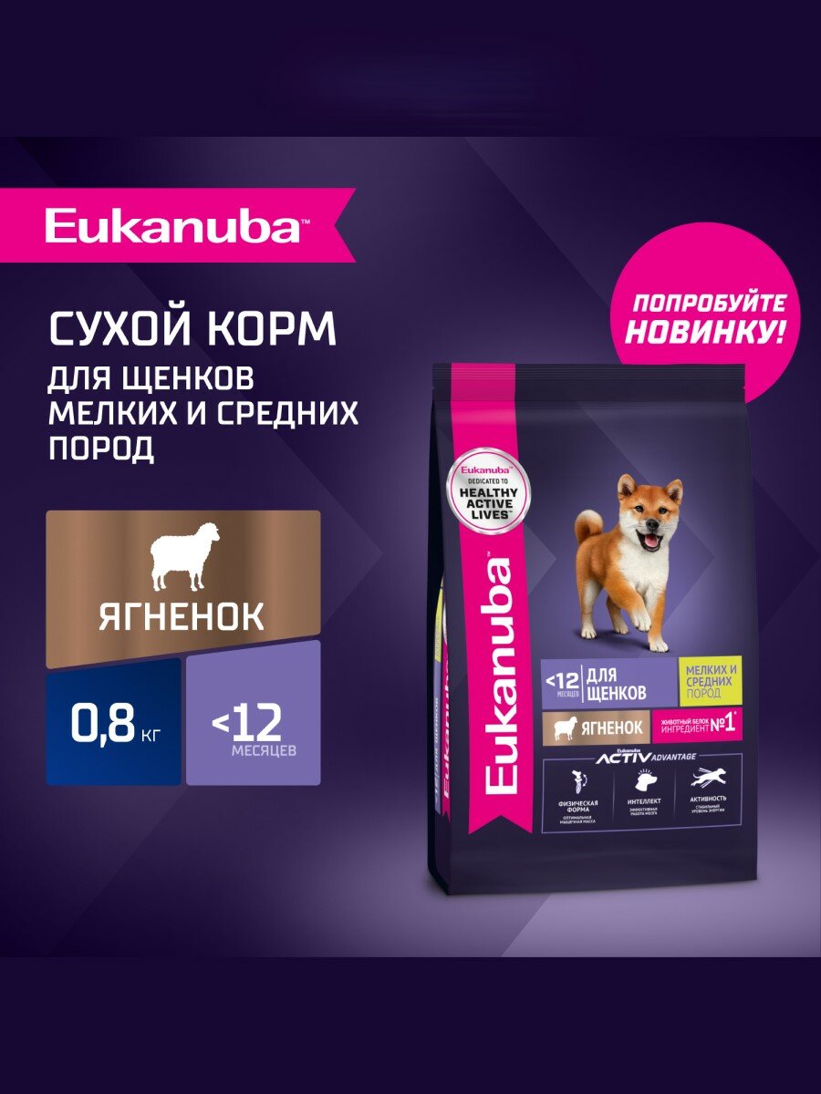 Сухой корм Eukanuba Dog для щенков мелких и средних пород с ягненком, 800 г.