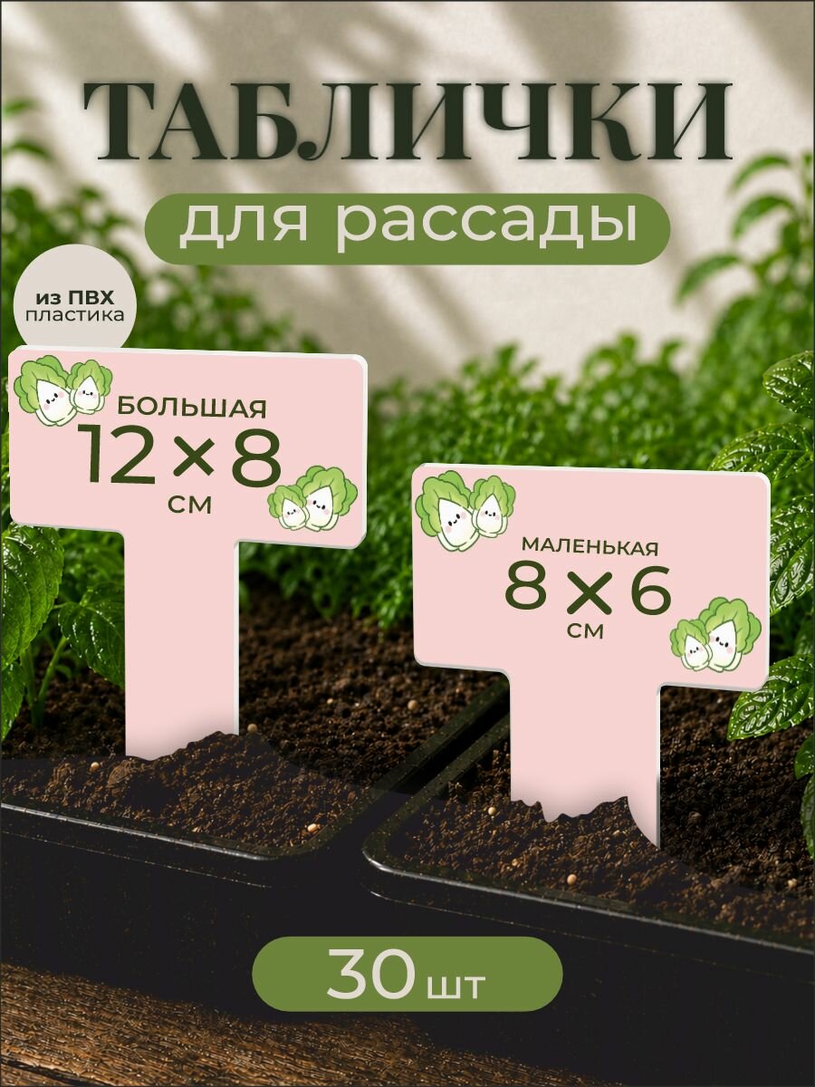 Фигурки для сада Салат