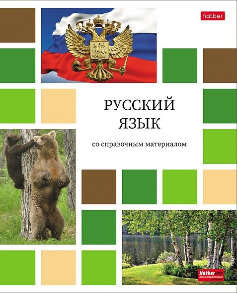 Тетрадь предметная русский язык 48 листов Цветная мозаика в линию
