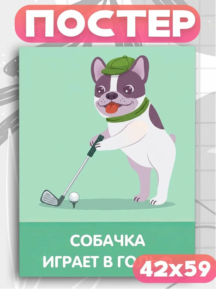 Постеры на стену Сова на скакалке мем