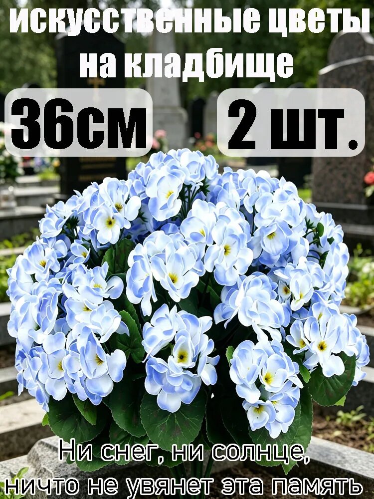 Стабилизированные цветы Бегония 2 шт для интерьера для декора для дома для офиса