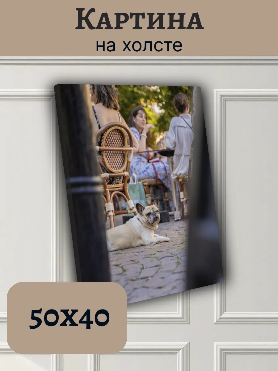 Картина Постер Франция France 40x50 с французским бульдогом