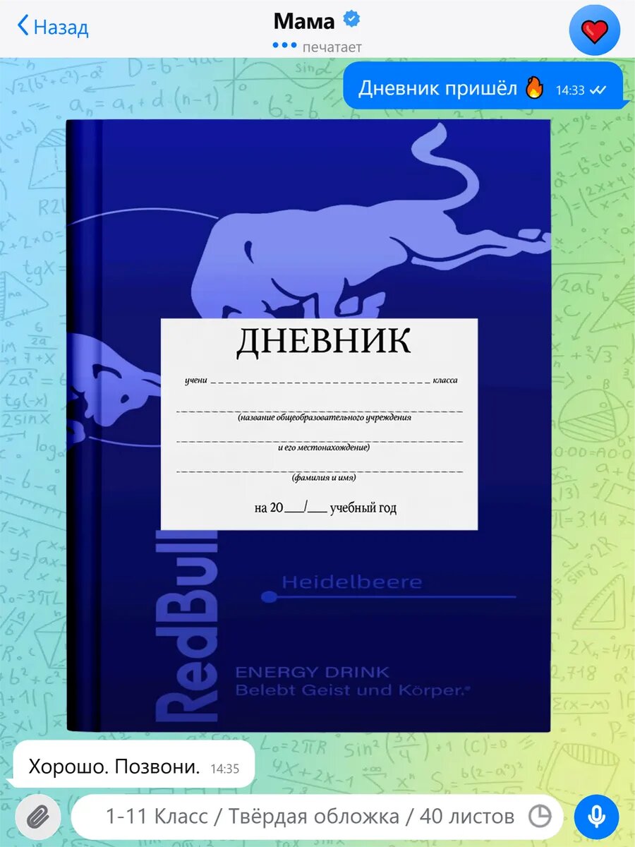 Школьный дневник с принтом Роблокс