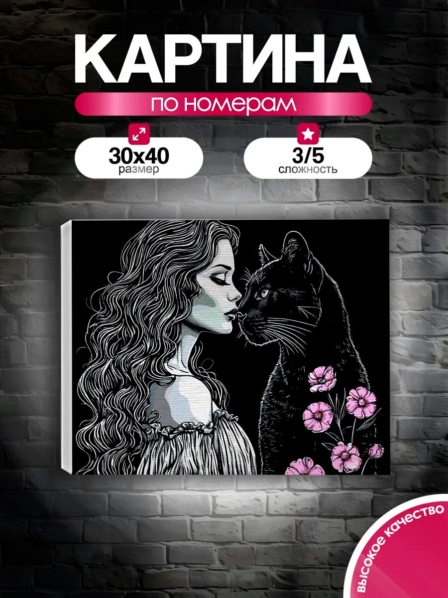 Картина по номерам 30x40 Девушка и черная пантера