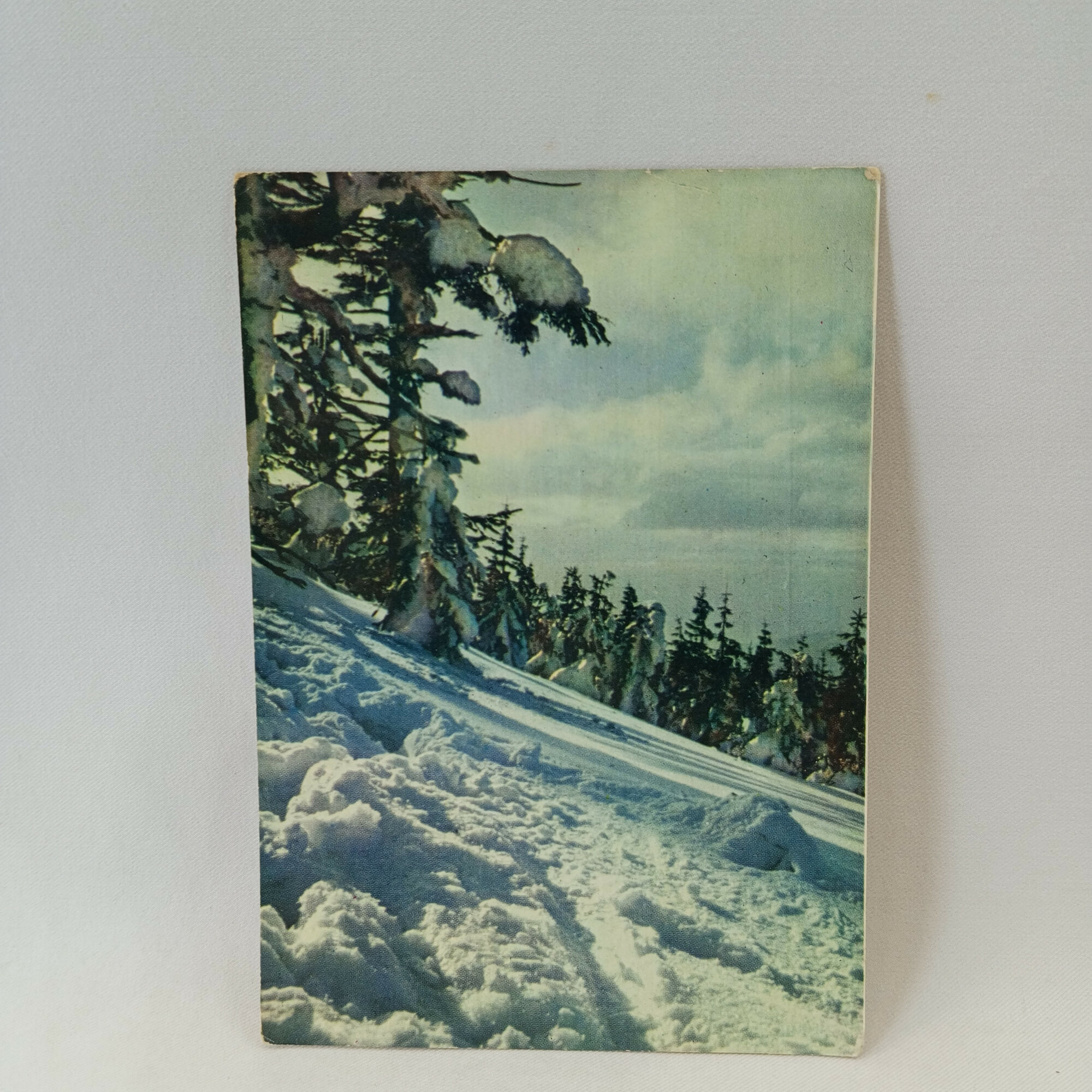 Открытка советская СССР. Зимний пейзаж с заснеженными елями по фото Качинского. Винтаж