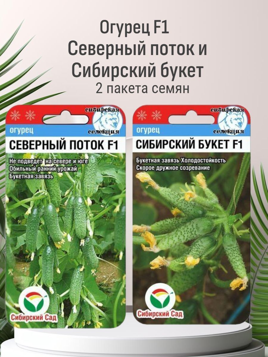 Огурец Северный поток F1 и Сибирский букет F1 2 пакета
