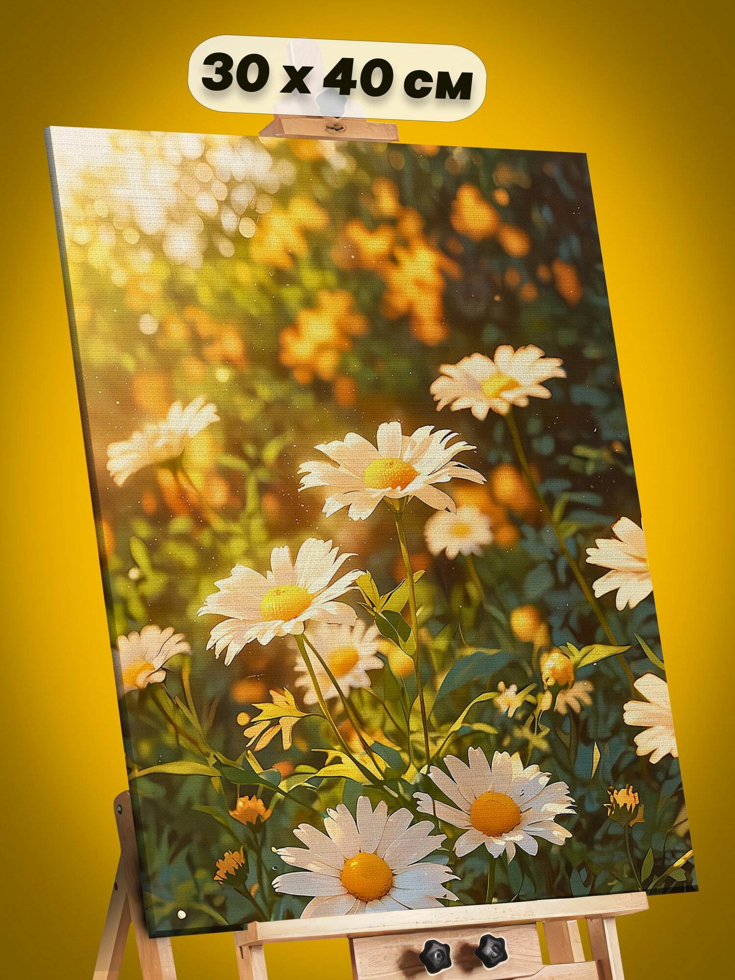 Картина на стену Цветы ромашки 30x40