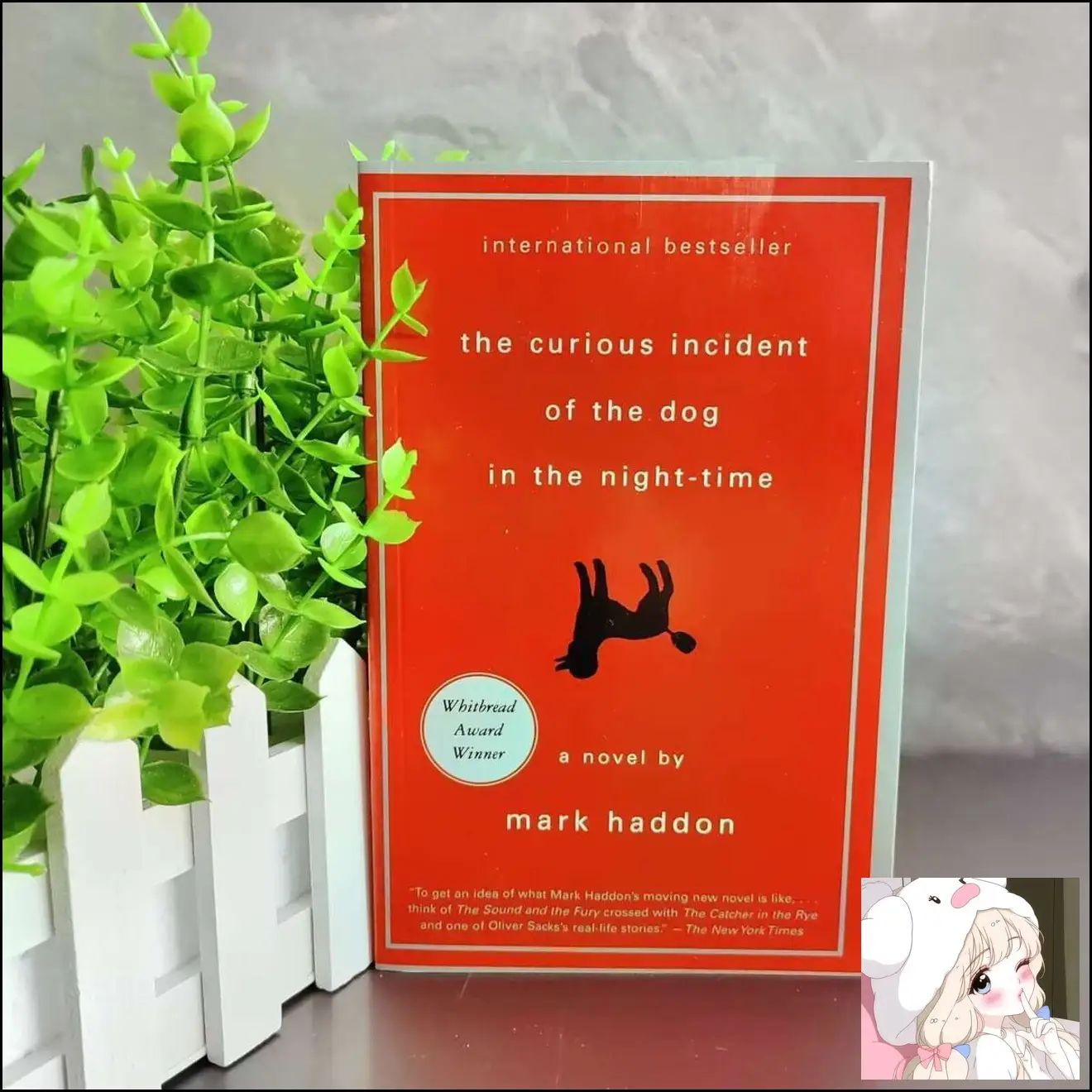 The Curious Incident of the Dog in the Night Time — печатная книга, ISBN 0013124495263, формат 133x190 мм