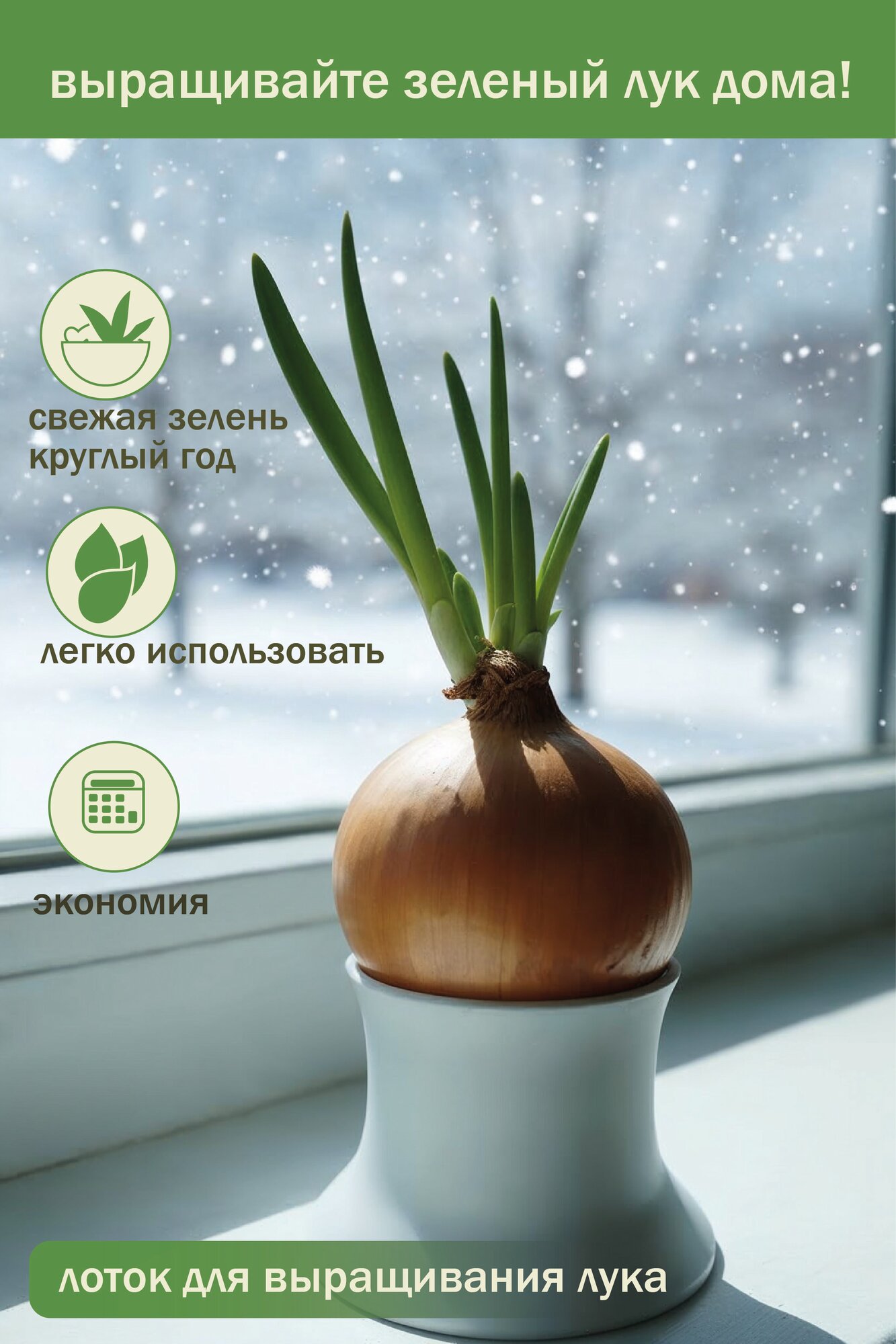 Лоток для выращивания лука на подоконнике