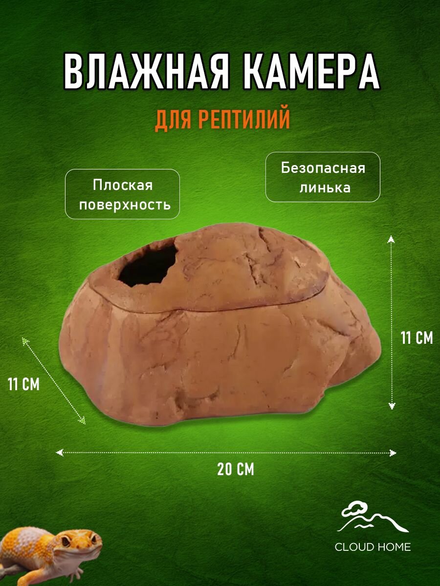 Декорация для аквариума/террариума