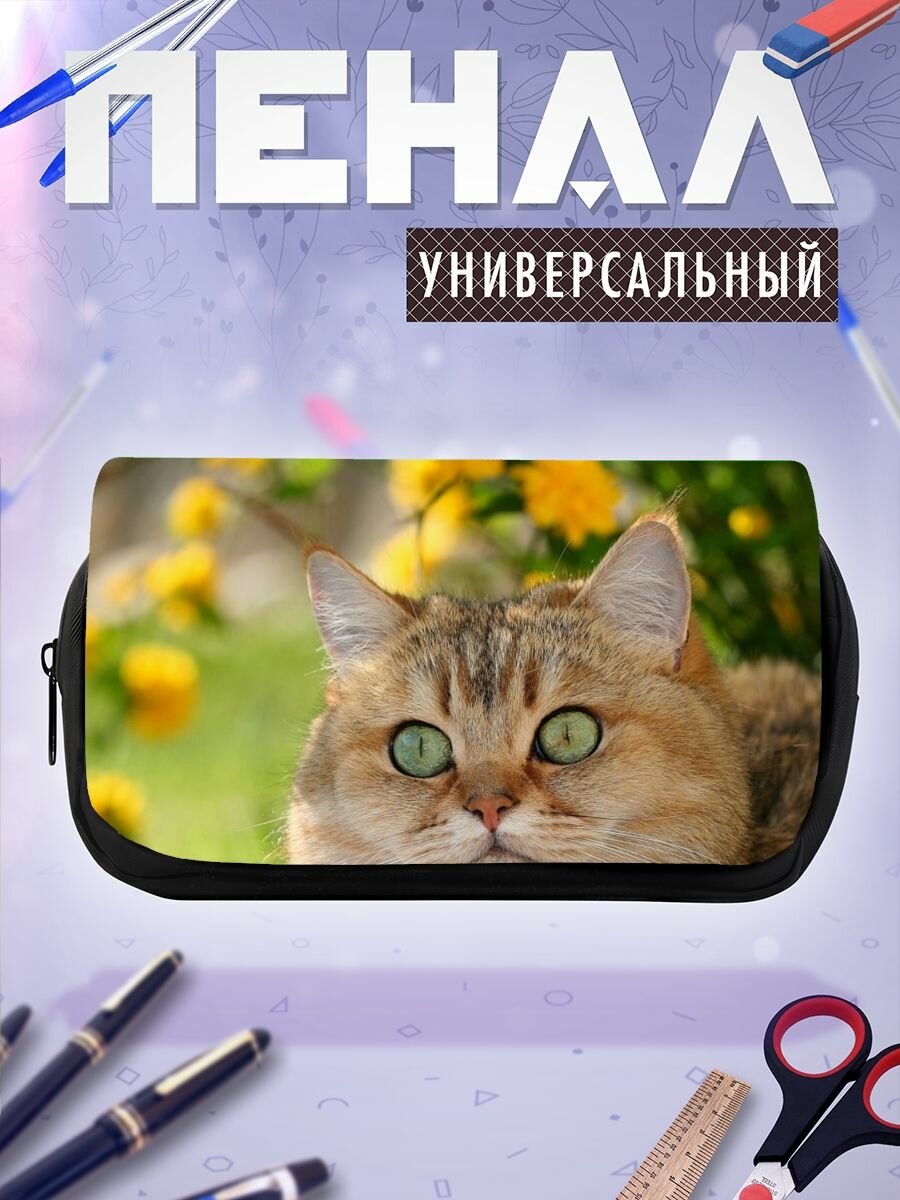 Школьный пенал британская короткошерстная американская короткошерстная