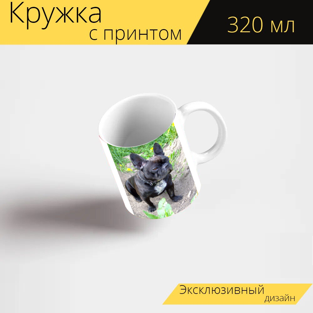 Кружка с рисунком, принтом "Французский бульдог Нора на землю Бульдог Нора сидела на плесень, трава окружающих французский бульдог собака собачка очаровательные милые." 320 мл.