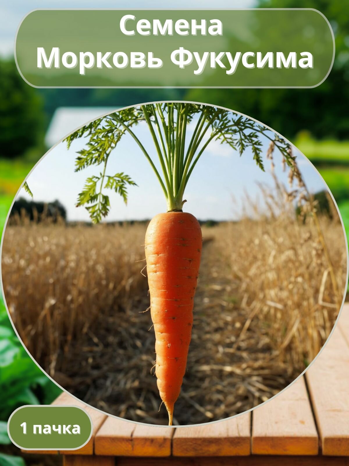 Морковь Фукусима, семена 10 шт