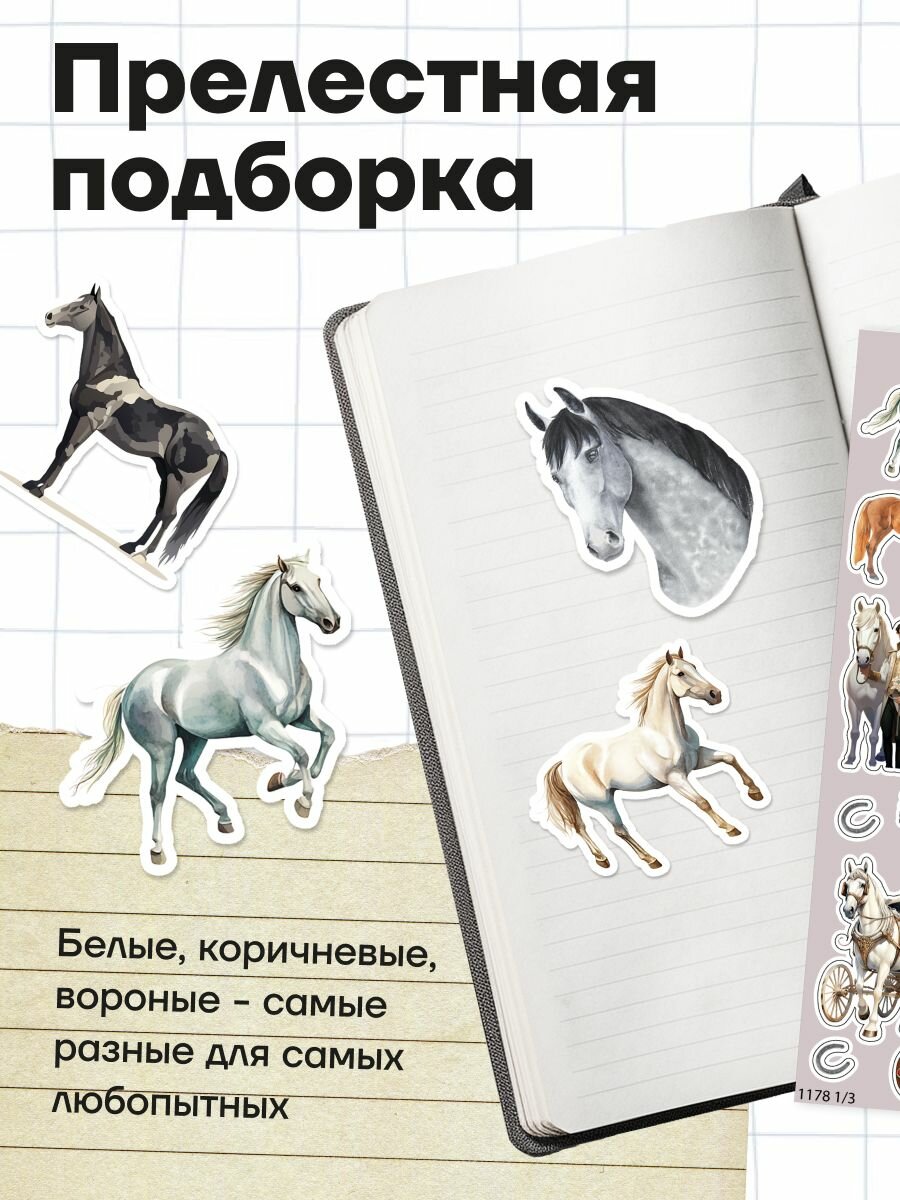 Наклейки лошади, для творчества, виниловые, многоразовые, 75 штук — фото 1